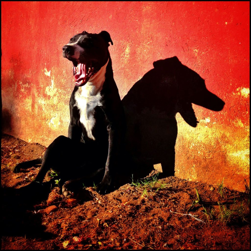 Eric Mencher e a Fotografia Documental com Foco Social • O Casal da ...