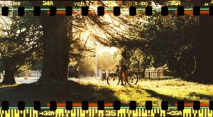 Roger Stonehouse: cores vivas e realismo • O Casal da Foto