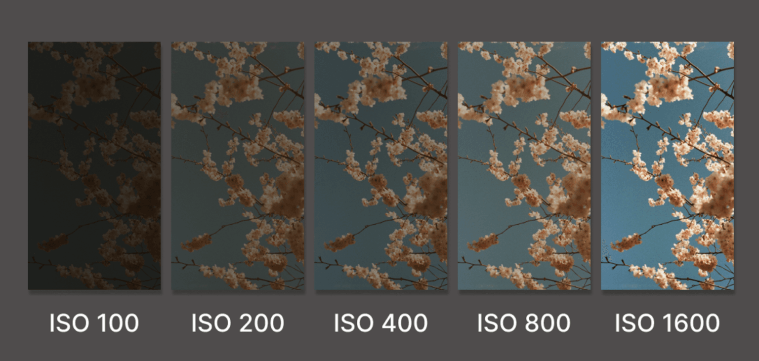 O que é ISO na fotografia? • O Casal da Foto