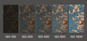 O que é ISO na fotografia? • O Casal da Foto